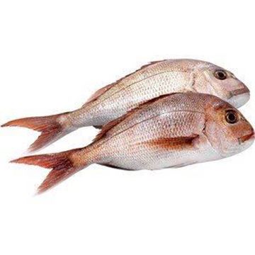 The Seafood Store. Fresh Fish (Whole)