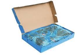 The Seafood Store. SOLE WHOLE 800gms+ (H)