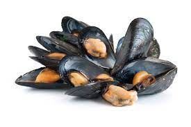 The Seafood Store. MUSSELS (VAC PACKED)