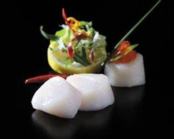 The Seafood Store. Shellfish