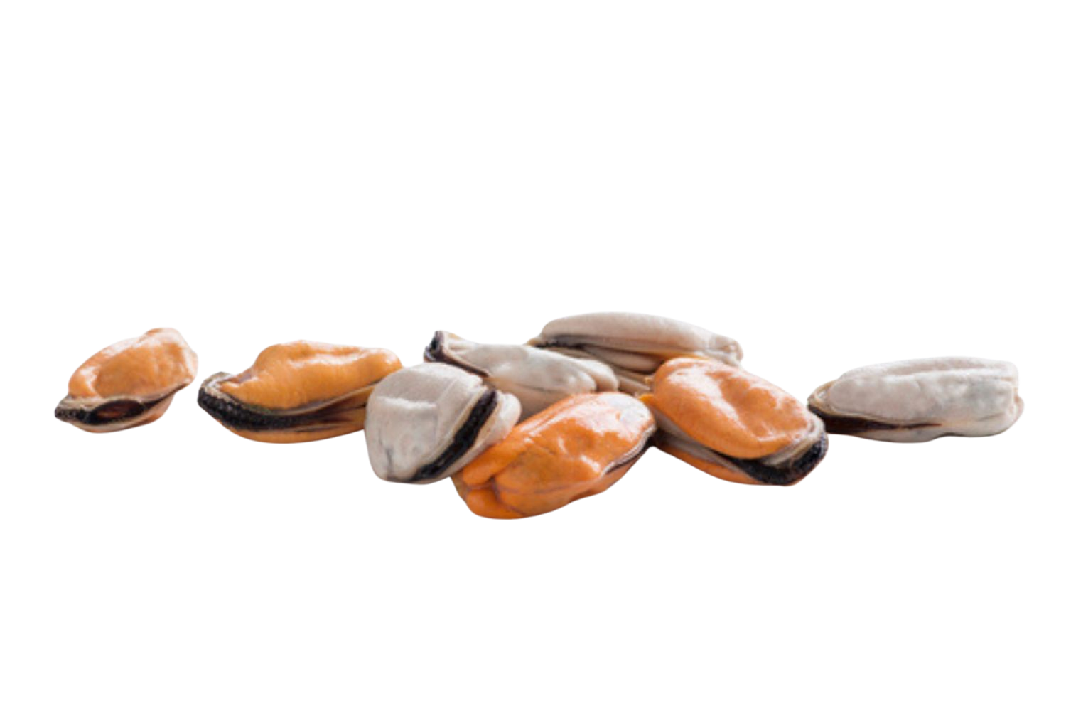 The Seafood Store. MUSSELS MEAT SS