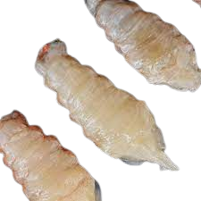 The Seafood Store. IMPORTED BUG MEAT