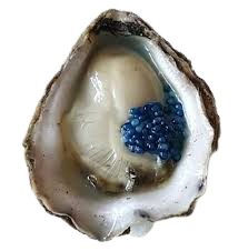 The Seafood Store. WILD SCAMPI CAVIAR 25GM